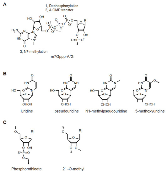 Lipid Nanoparticles: A Novel Gene Delivery Technique for Clinical ...
