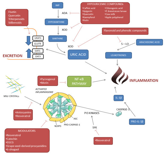CIMB | Free Full-Text | Anti-Inflammatory and Hypouricemic Effect of Bioactive Compounds ...