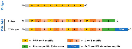 RNA Editing in Chloroplast: Advancements and Opportunities