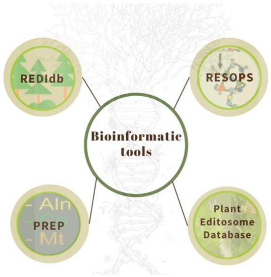 RNA Editing in Chloroplast: Advancements and Opportunities