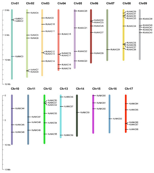 Genome-Wide Identification and Expression Analysis of the NAC Gene ...