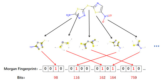 CIMB | Free Full-Text | MIFNN: Molecular Information Feature Extraction and Fusion Deep Neural ...