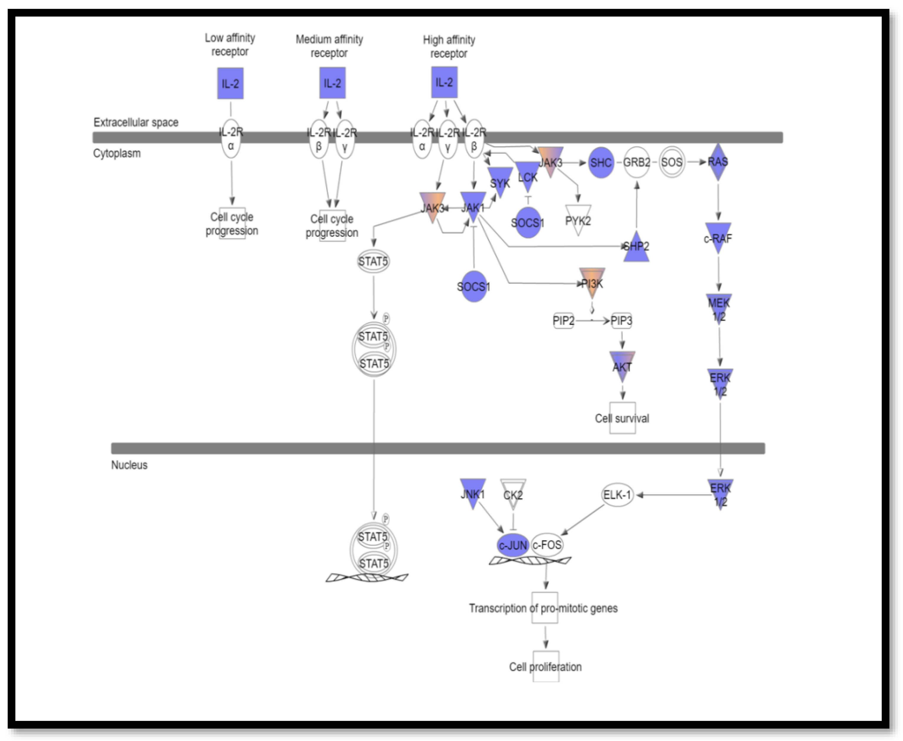 Somatic Mutations Alter Interleukin Signaling Pathways in Grade II ...