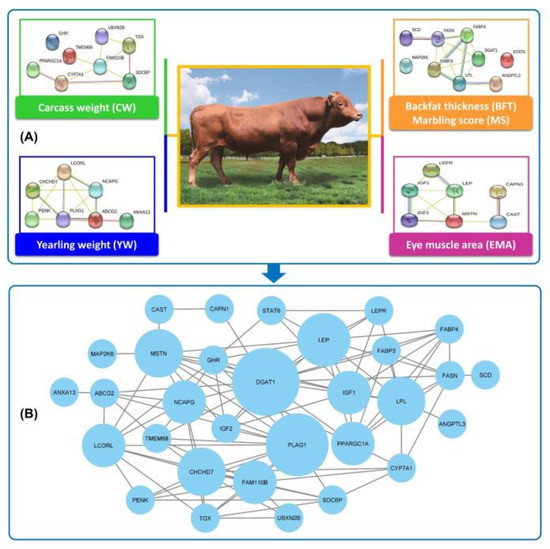 CIMB | Free Full-Text | Exploring and Identifying Candidate Genes and ...