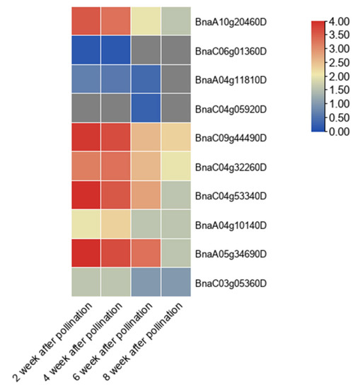 Genome-Wide Identification of Brassica napus PEN1-LIKE Genes and Their Expression Profiling in ...