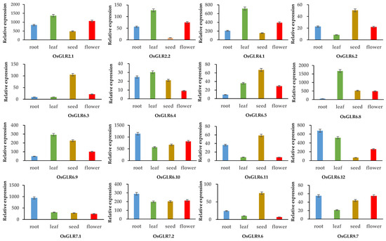 Comprehensive Analysis of Glutamate Receptor-like Genes in Rice (Oryza ...