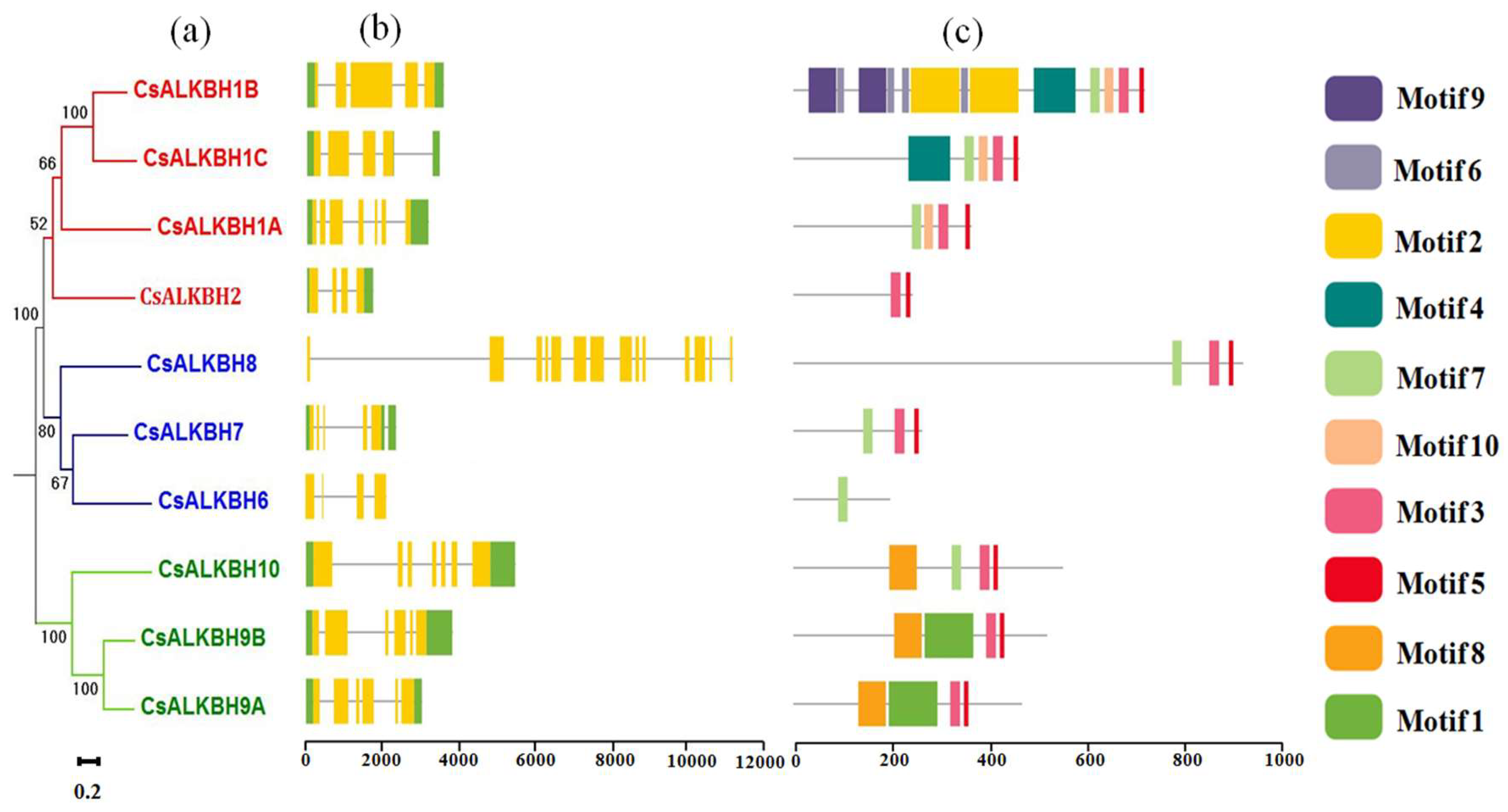 CIMB | Free Full-Text | Genome-Wide Identification and Characterization ... CIMB | Free Full-Text | Genome-Wide Identification and Characterization ...