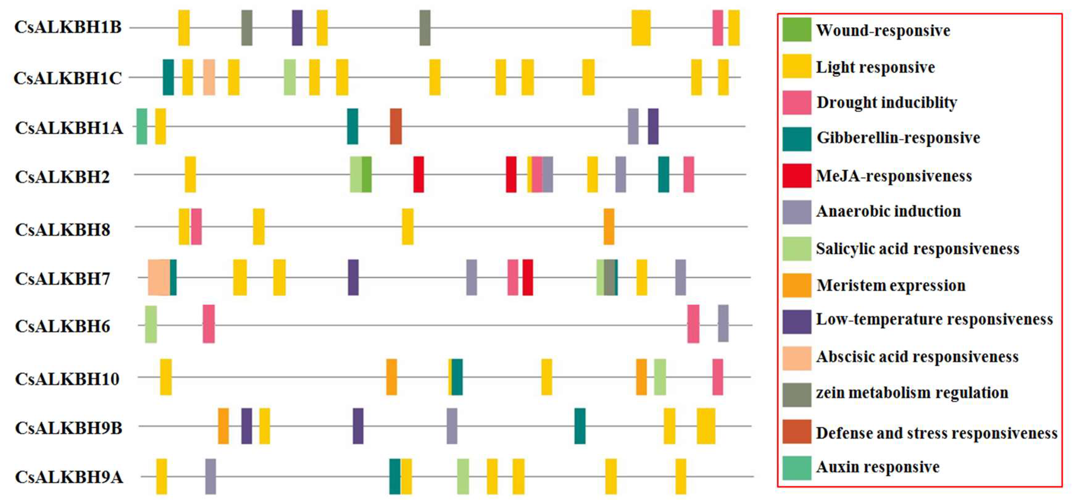 CIMB | Free Full-Text | Genome-Wide Identification and Characterization ... CIMB | Free Full-Text | Genome-Wide Identification and Characterization ...
