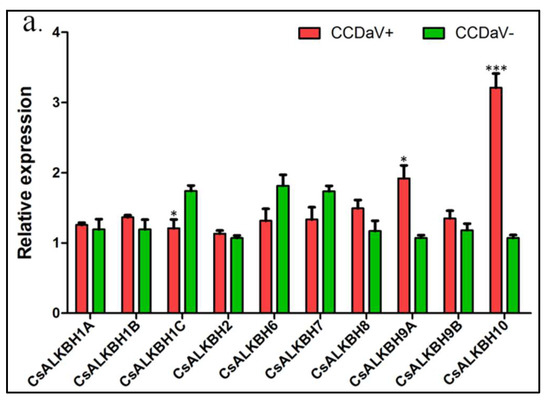 Genome-Wide Identification and Characterization of the AlkB Gene Family ...