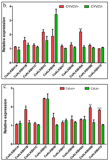 Genome-Wide Identification and Characterization of the AlkB Gene Family ...