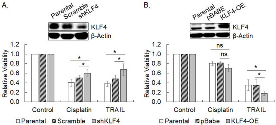Modulation of Spheroid Forming Capacity and TRAIL Sensitivity by KLF4 and Nanog in Gastric ...