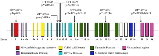 OPA1 Dominant Optic Atrophy: Diagnostic Approach in the Pediatric ...