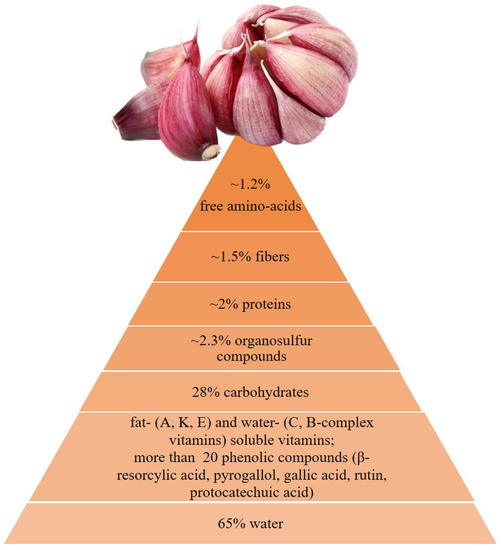Garlic (Allium sativum L.) as an Ally in the Treatment of Inflammatory ...