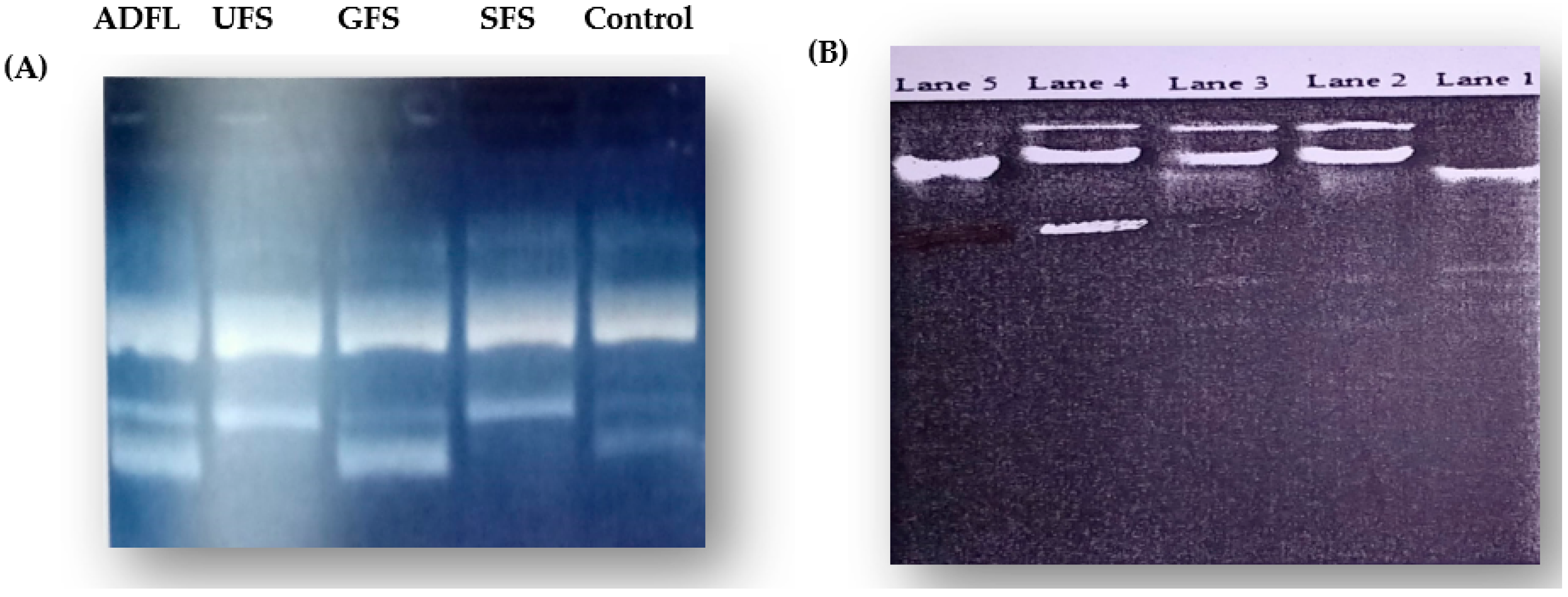 Cimb Free Full Text Cell Growth Inhibition Dna Fragmentation And