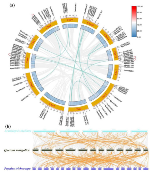 Genome-Wide Identification and Expression Analysis of the bHLH ...