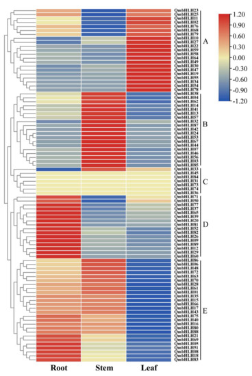 Genome-Wide Identification and Expression Analysis of the bHLH ...