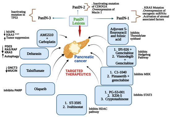 Molecular Research in Pancreatic Cancer: Small Molecule Inhibitors ...