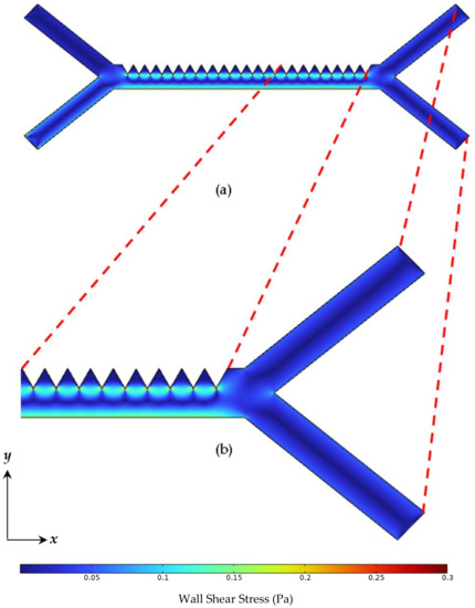 Continuous Flow Separation of Red Blood Cells and Platelets in a Y ...