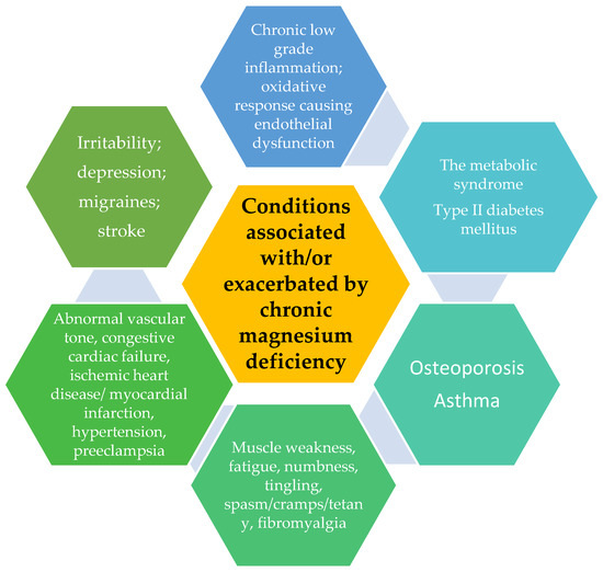 The Link between Magnesium Supplements and Statin Medication in ...