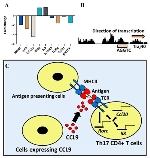 Mouse CCL9 Chemokine Acts as Tumor Suppressor in a Murine Model of ...