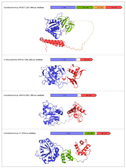 Using AlphaFold Predictions in Viral Research