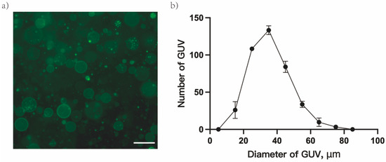 Temperature-Promoted Giant Unilamellar Vesicle (GUV) Aggregation: A Way ...
