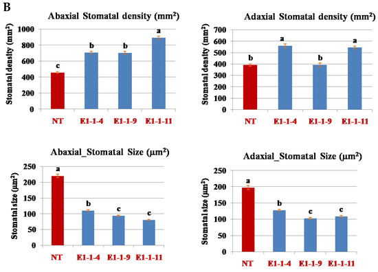 Altering Stomatal Density for Manipulating Transpiration and ...