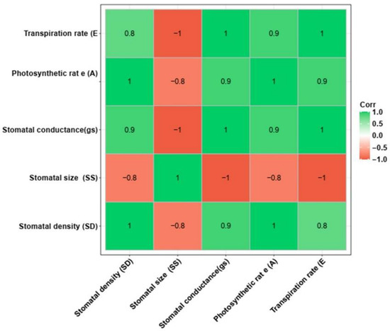 Altering Stomatal Density for Manipulating Transpiration and ...