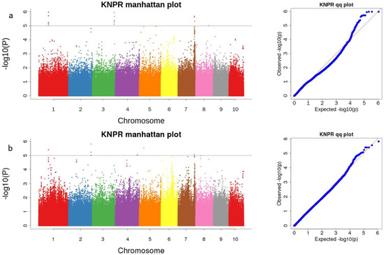 Mapping and Functional Analysis of QTL for Kernel Number per Row in Tropical and Temperate ...