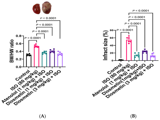 Antioxidant Flavonoid Diosmetin Is Cardioprotective in a Rat Model of ...