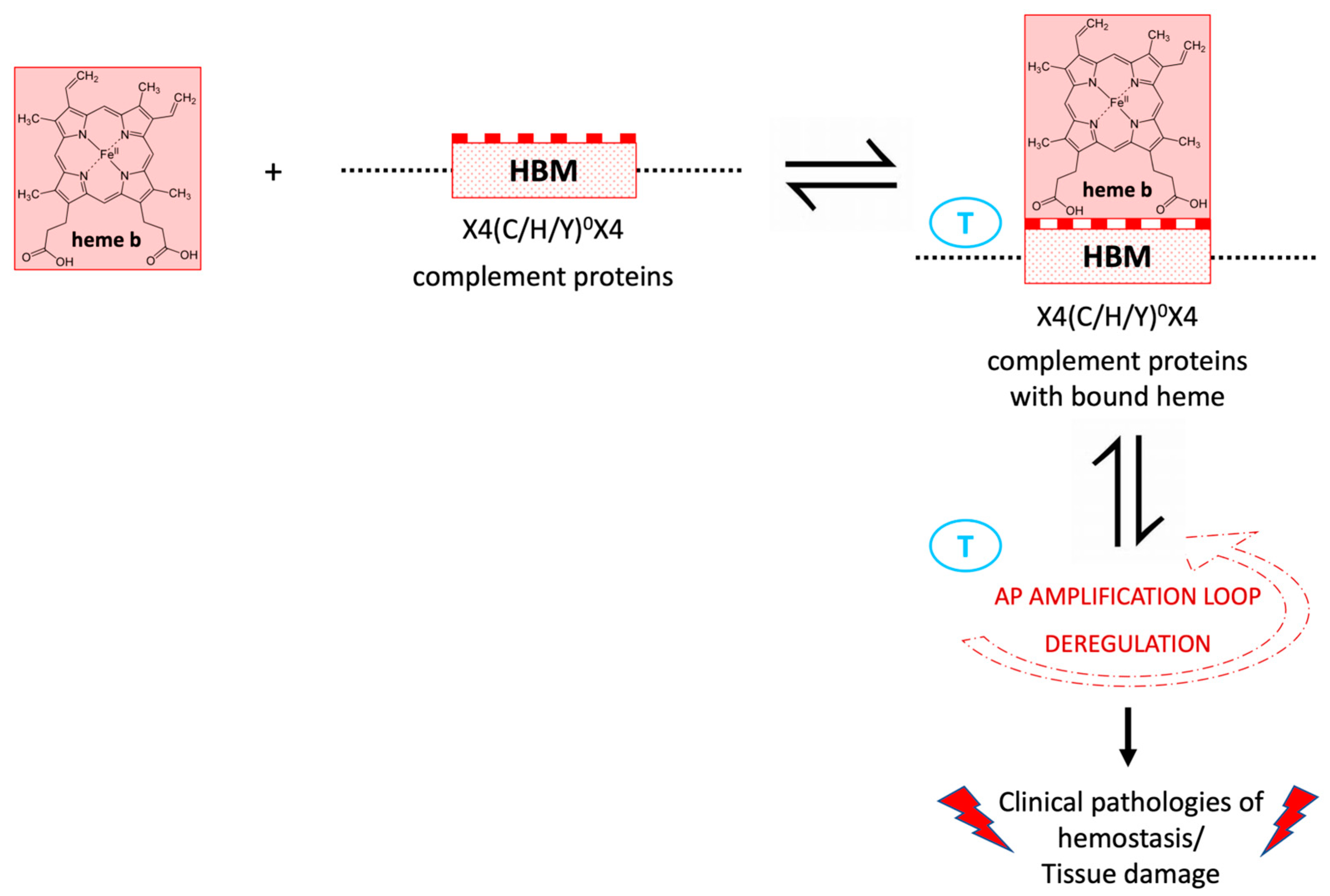 Heme Interactions as Regulators of the Alternative Pathway Complement ...