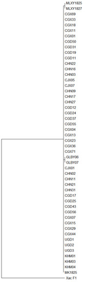 Multilocus Sequence Analysis and Detection of Copper Ion Resistance of ...