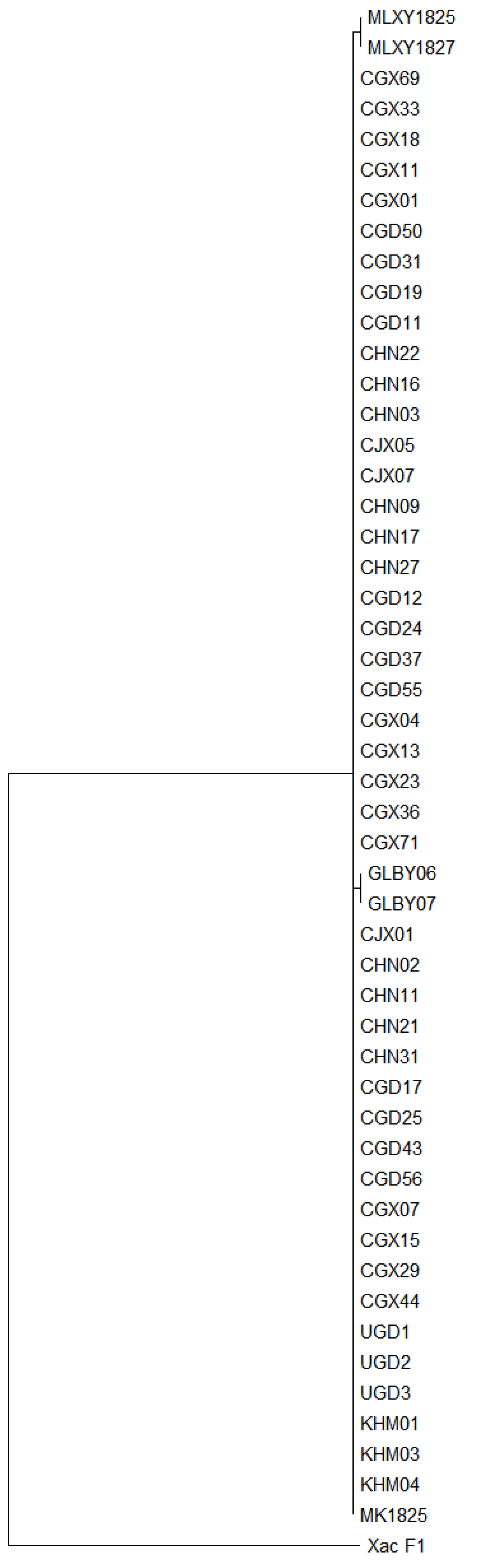 Multilocus Sequence Analysis and Detection of Copper Ion Resistance of ...