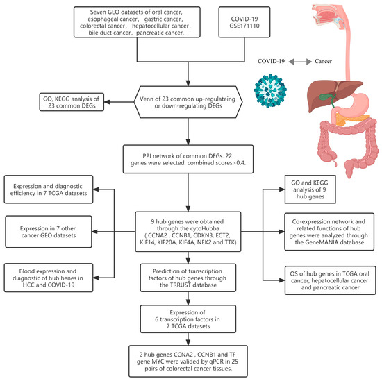 CIMB | Free Full-Text | Exploring Key Biomarkers and Common ...