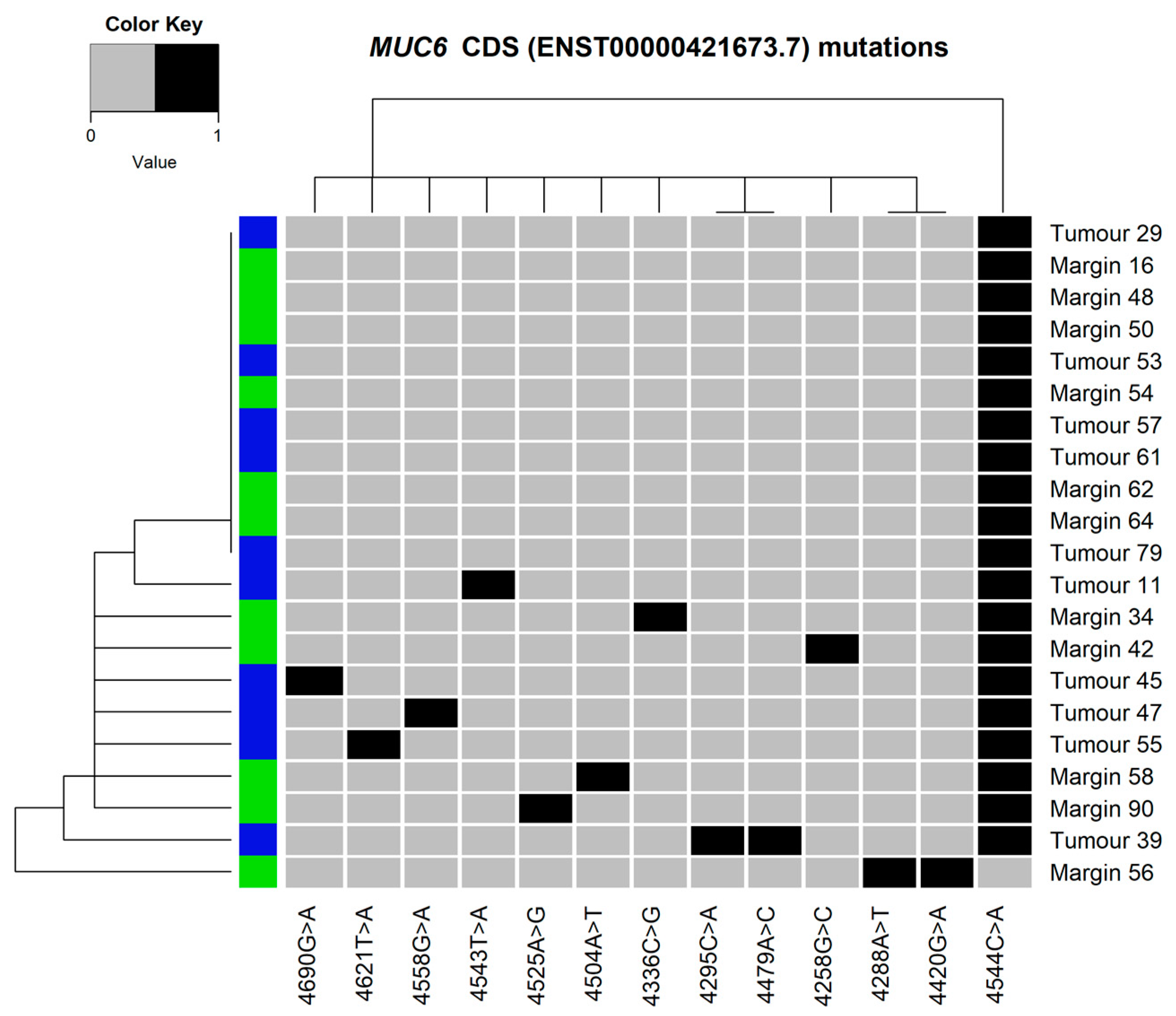 Sequencing Analysis of MUC6 and MUC16 Gene Fragments in Patients with ...