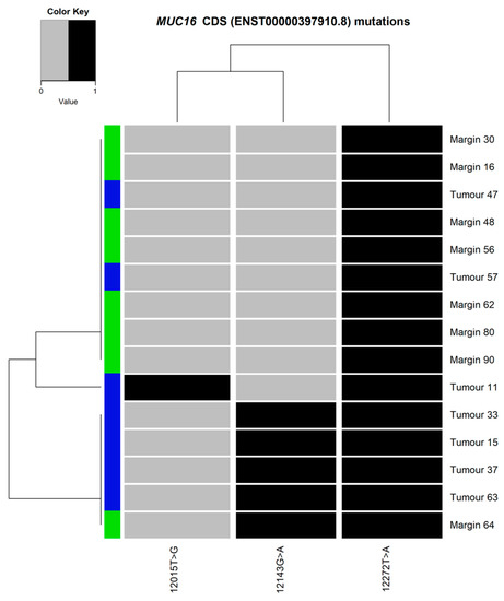 CIMB | Free Full-Text | Sequencing Analysis of MUC6 and MUC16 Gene ...