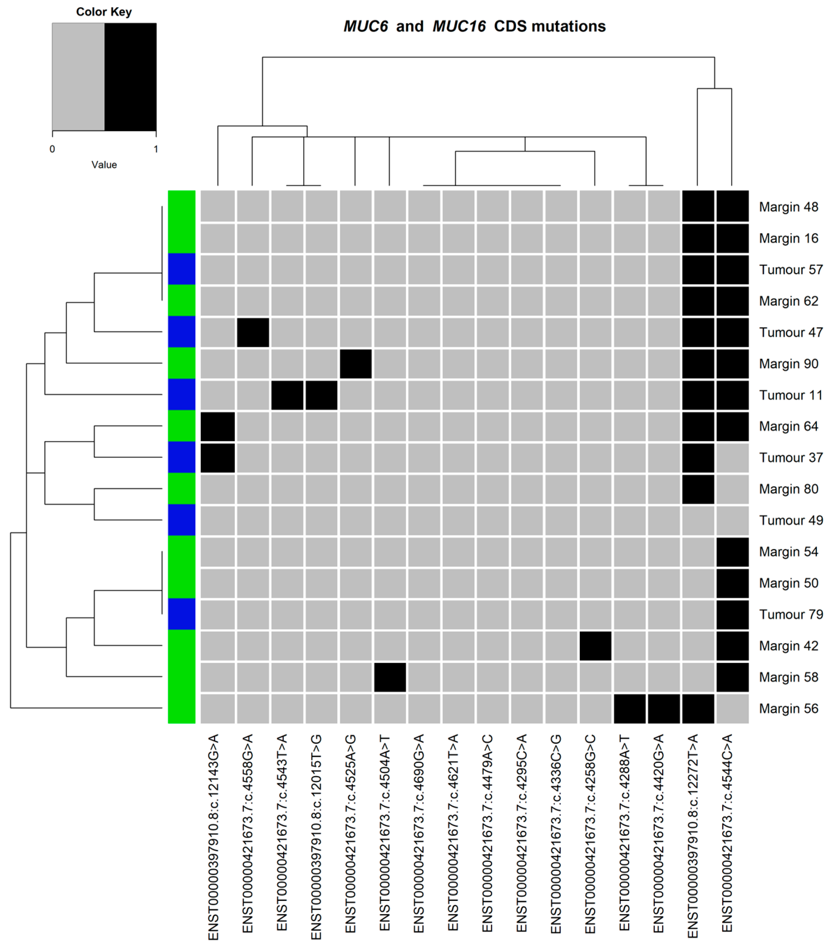 Sequencing Analysis of MUC6 and MUC16 Gene Fragments in Patients with ...