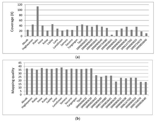 Genome-Wide SNP and Indel Discovery in Abaca (Musa textilis Née) and ...