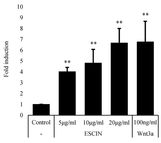 Escin Activates Canonical Wnt/β-Catenin Signaling Pathway by ...