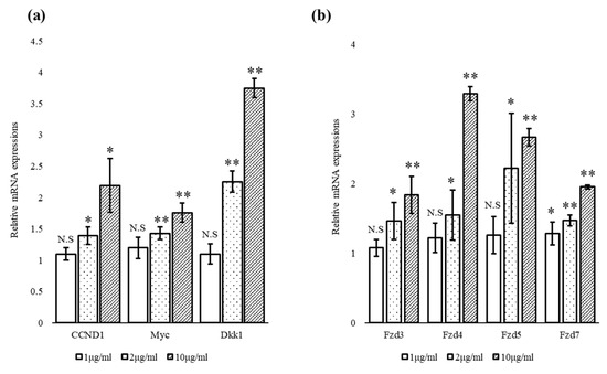 Escin Activates Canonical Wnt/β-Catenin Signaling Pathway by ...