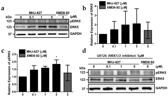 Identification of a Novel ERK5 (MAPK7) Inhibitor, MHJ-627, and Verification of Its Potent ...