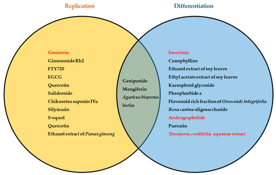 Regeneration of Pancreatic Beta Cells by Modulation of Molecular ...