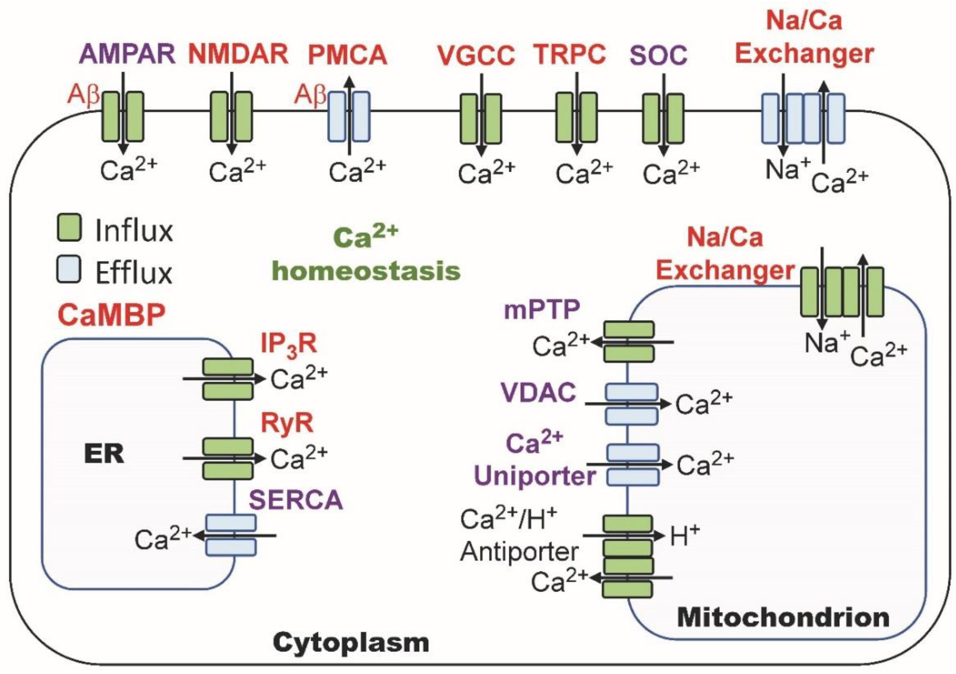 Alzheimer’s Disease beyond Calcium Dysregulation: The Complex Interplay between Calmodulin ...