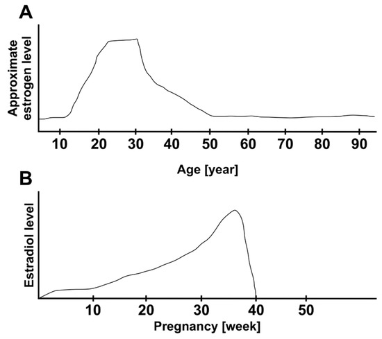 Etiology of Idiopathic Macular Holes in the Light of Estrogen Hormone