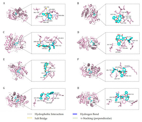 Mechanism of Taxanes in the Treatment of Lung Cancer Based on Network ...