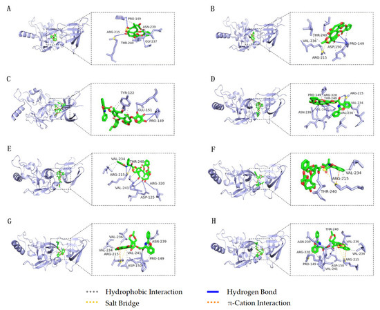 Mechanism of Taxanes in the Treatment of Lung Cancer Based on Network ...