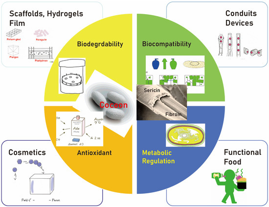 Relevant Properties and Potential Applications of Sericin in Bone Regeneration