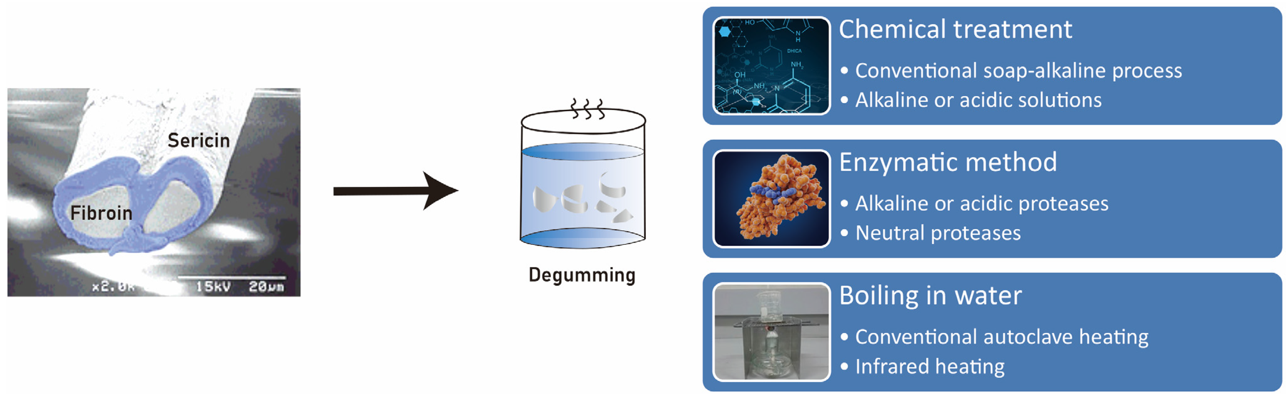 Relevant Properties and Potential Applications of Sericin in Bone ...