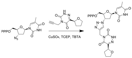 Recent Advances in Molecular Mechanisms of Nucleoside Antivirals