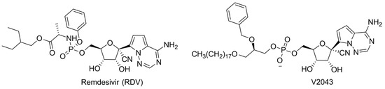 Recent Advances in Molecular Mechanisms of Nucleoside Antivirals
